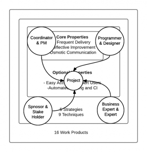 Review of Projects and Crystal Clear Methodology